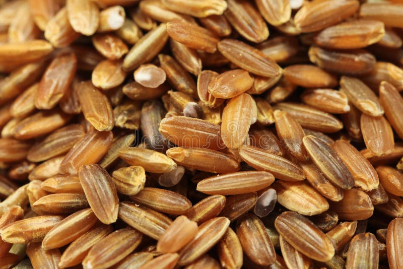 Rice bran shell background stock image. Image of cook - 61795529