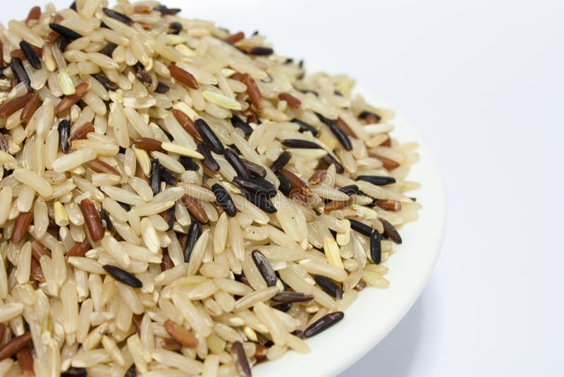 Rice stock photo. Image of black, foliage, cultivation - 59905970