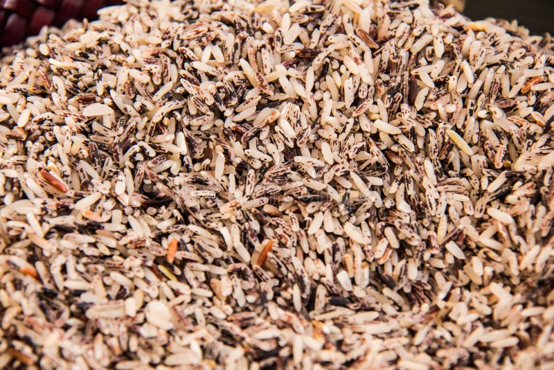Rice, brown rice, red rice stock photo. Image of seed - 61732834