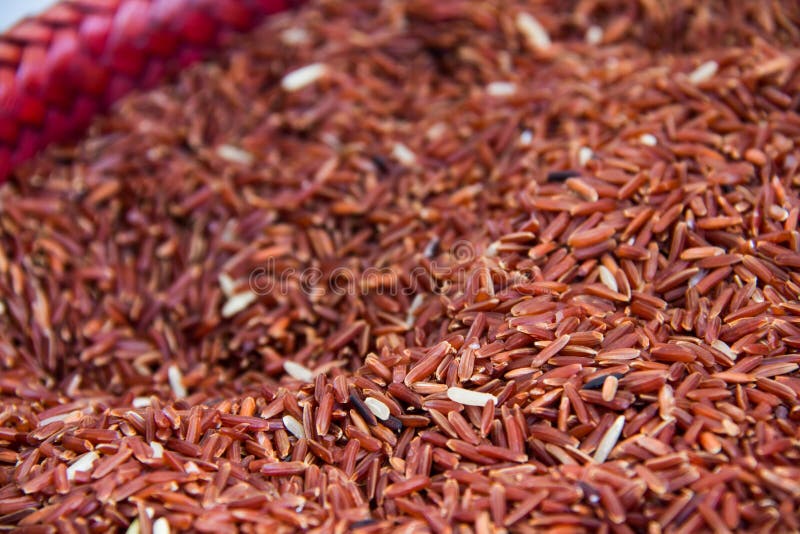 Rice, brown rice, red rice stock image. Image of cuisine - 61732909
