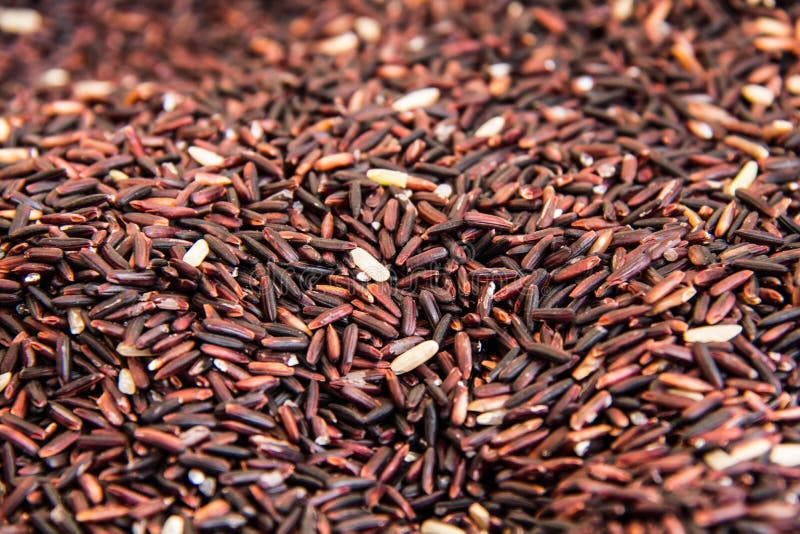 Rice, brown rice, red rice stock image. Image of seed - 61732925