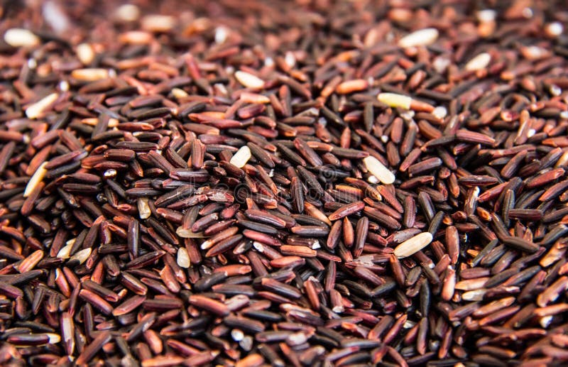 Rice, brown rice, red rice stock photo. Image of texture - 61732932