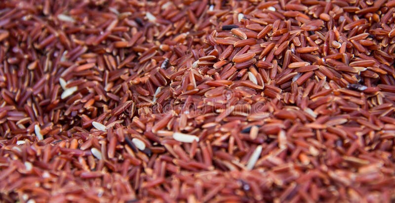 Rice, brown rice, red rice stock photo. Image of nature - 61732904