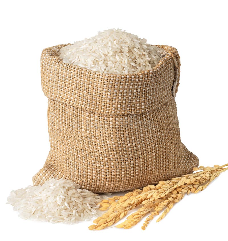 Rice in burlap sack stock image. Image of scattered - 184860559