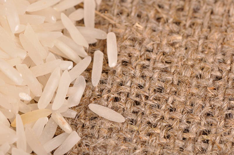 Rice on the canvas stock image. Image of edible, beige - 35973047