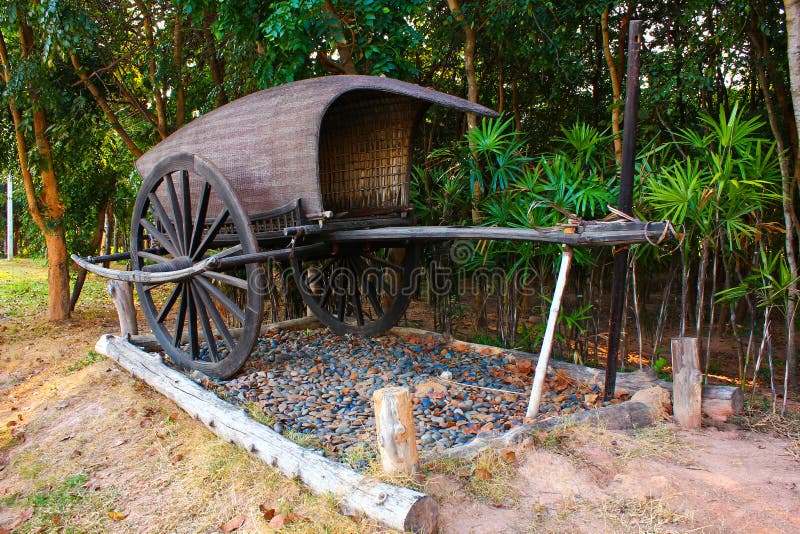 Rice cart stock image. Image of hand, grain, farmland - 22878897