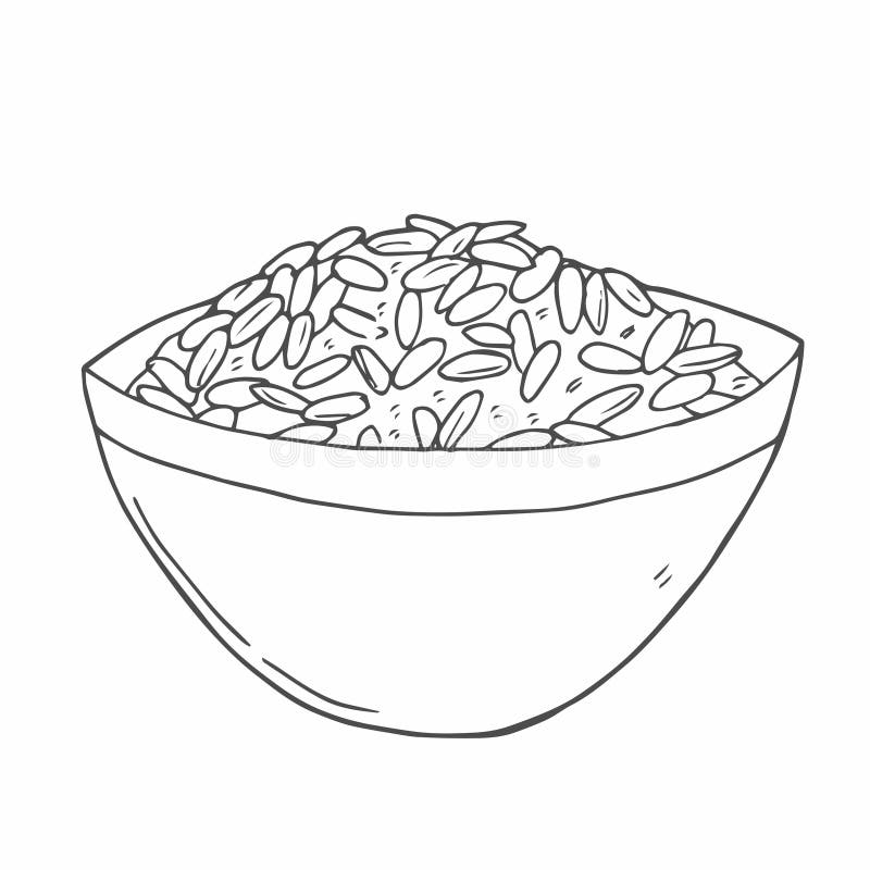 Rice. Cereal Grain in Plate, Bowl. Hand Drawn Vector Sketch ...