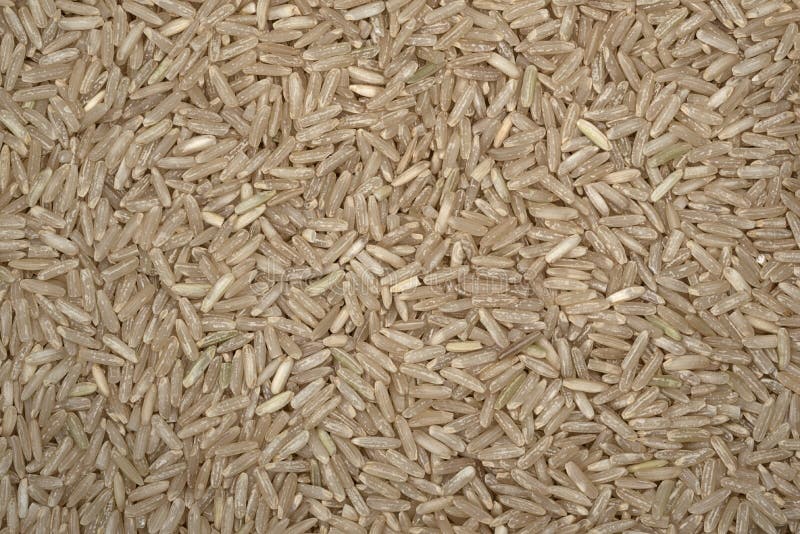 Rice close up stock photo. Image of macro, pile, diet - 66938432