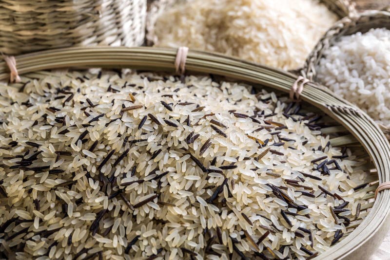Rice stock photo. Image of food, basmati, diet, rice - 60794874