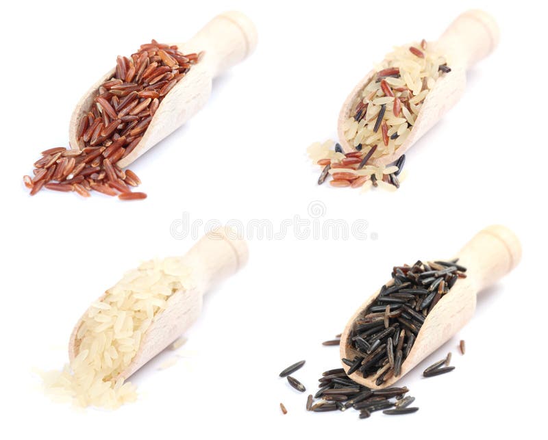 Rice collection stock image. Image of japanese, food - 24928237