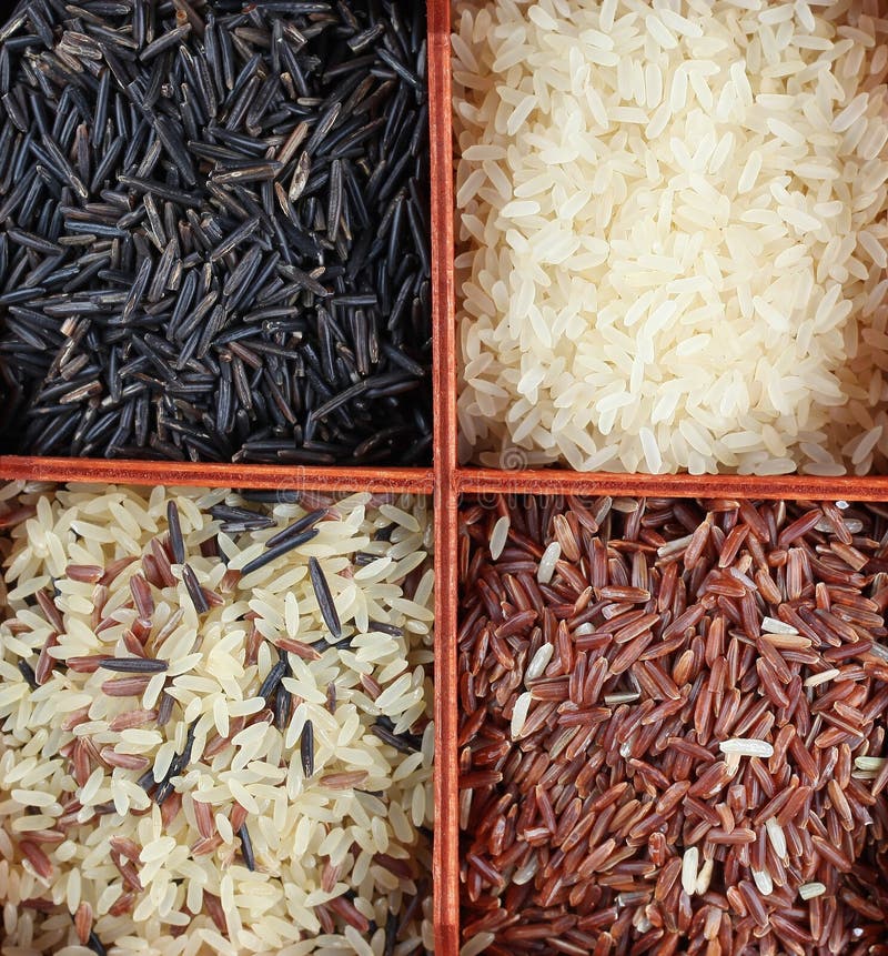 Rice collection stock image. Image of edible, heap, pile - 25076549