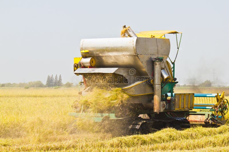 Rice combine harvester stock photo. Image of harvest - 49770778