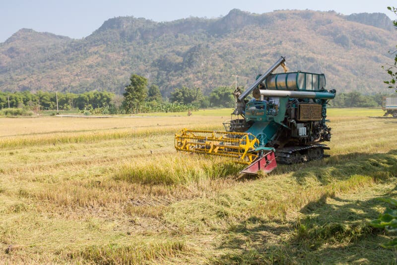 Rice combine harvesters stock image. Image of crop, grain - 65578893