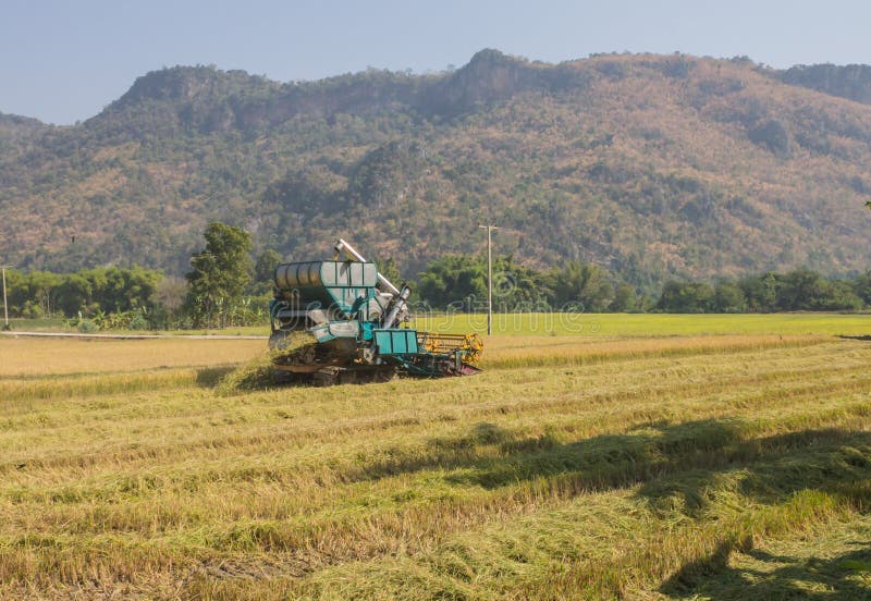 Rice combine harvesters stock image. Image of crop, grain - 65578893
