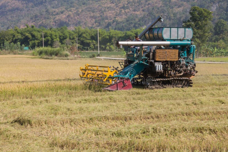 Rice combine harvesters stock photo. Image of harvest - 65753196