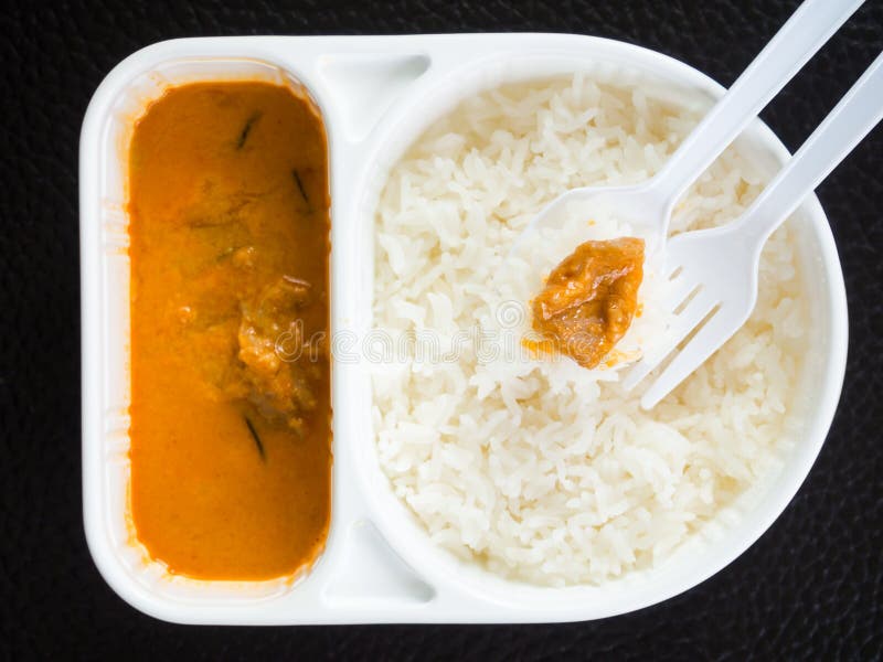 Rice and Curry in the Meal Box Set Stock Image - Image of menu, blank ...