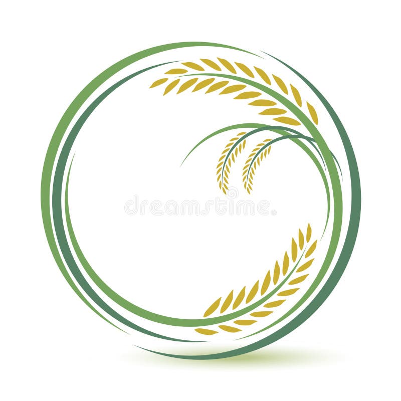 Rice design stock vector. Illustration of natural, grain - 39994879