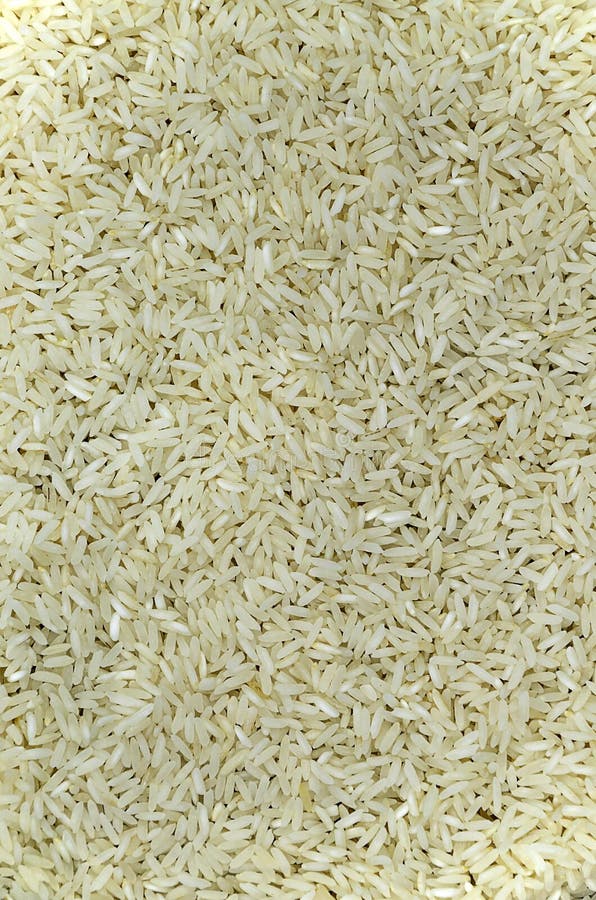 Rice, Detail, vertical stock photo. Image of asiatic - 49671280