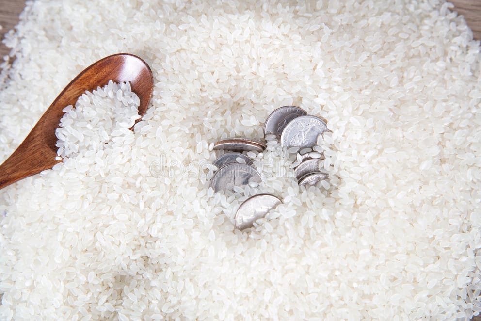 Rice and Dollar Coins on Table Stock Image - Image of subsistence ...