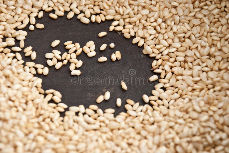 Rice stock photo. Image of lunch, organic, health, brown - 33379714