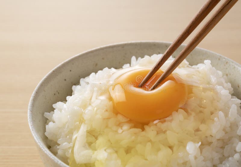 Rice with Egg in the Background of a Tree Stock Photo - Image of ...