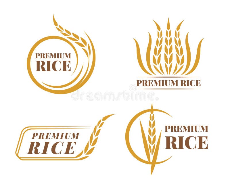 Rice Emblems Labels Badges Collection , Gold Paddy Rice Logo Vector ...