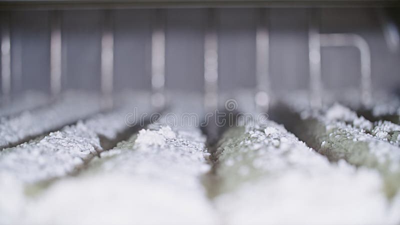 Rice Factory. Conveyor for Packing Rice and Cereals Stock Video - Video ...