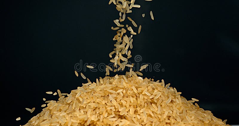 Rice Falling Against Black Background Stock Image - Image of ...