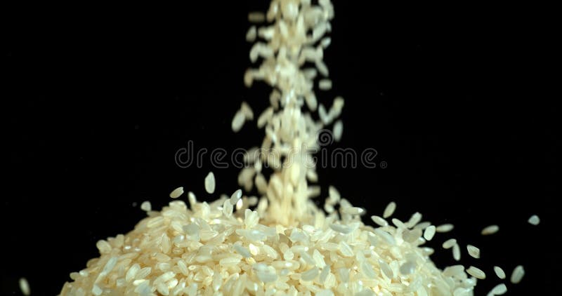 Rice Falling Against Black Background Stock Image - Image of work ...