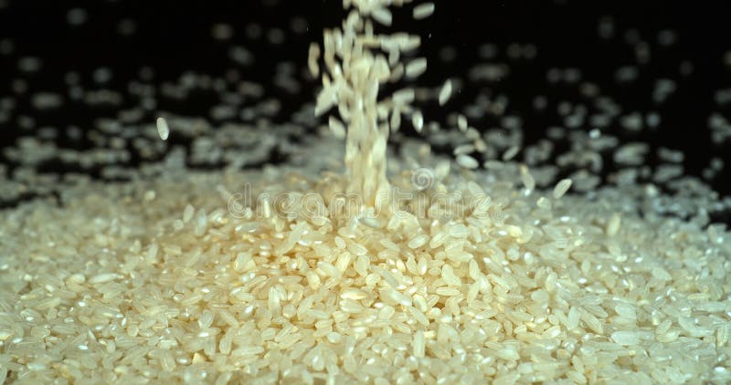 Rice Falling Against Black Background Stock Image - Image of indoors ...