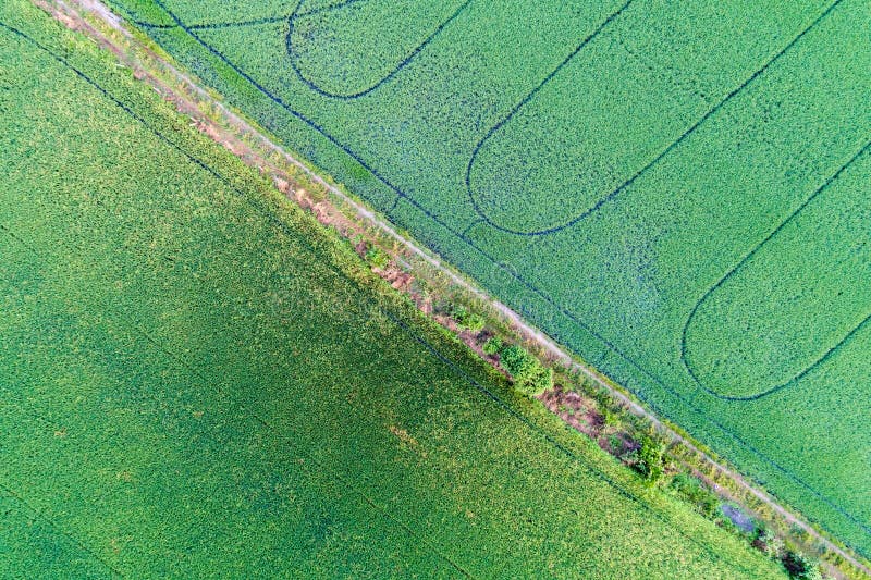 Rice farm Aerial view stock image. Image of agriculture - 90664529