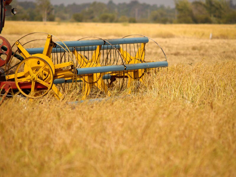 Rice farm and machine stock photo. Image of thai, field - 4221256
