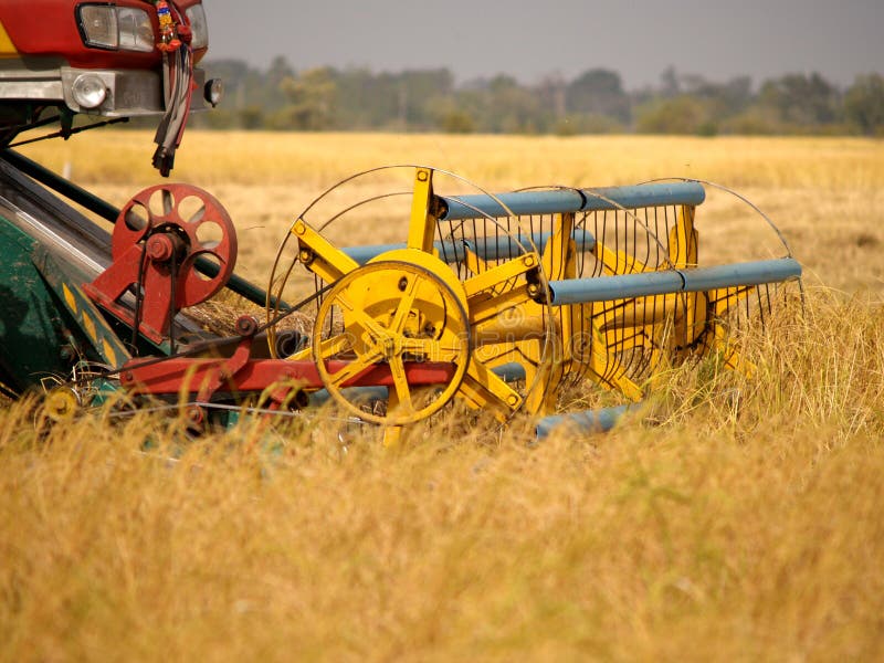 Rice farm and machine stock photo. Image of thailand, leave - 4221762