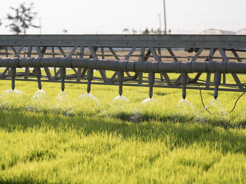 Rice farm with machine stock image. Image of rice, farm - 86426367