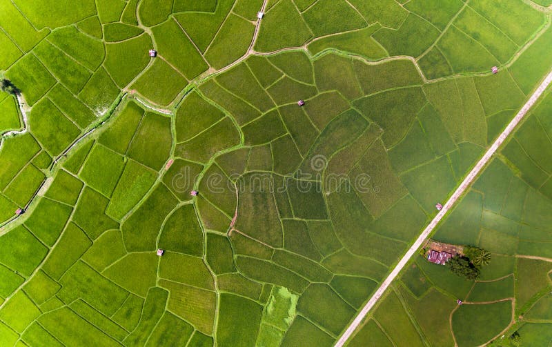 Farm Field Maps Free