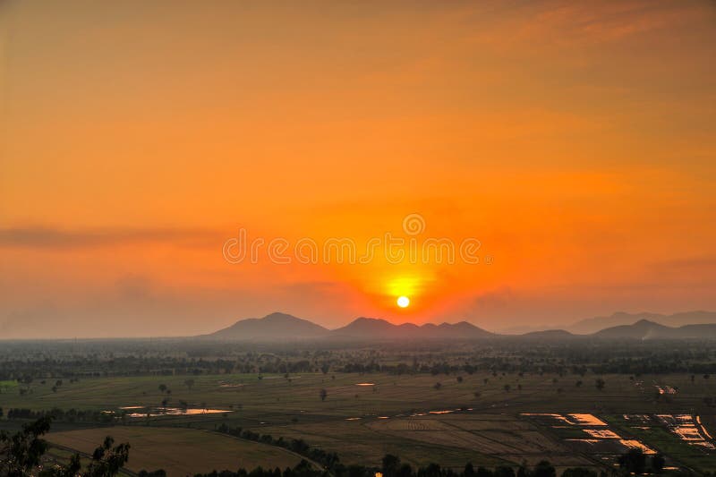 Rice farm during sunset stock photo. Image of field, plant - 92629272
