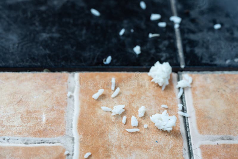 The Rice that Fell on the Ground Stock Image - Image of filthy, tile ...