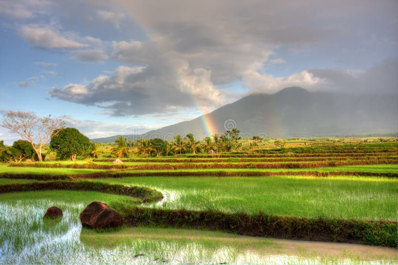 Rainbow Philippines Field Stock Photos - Free & Royalty-Free Stock ...