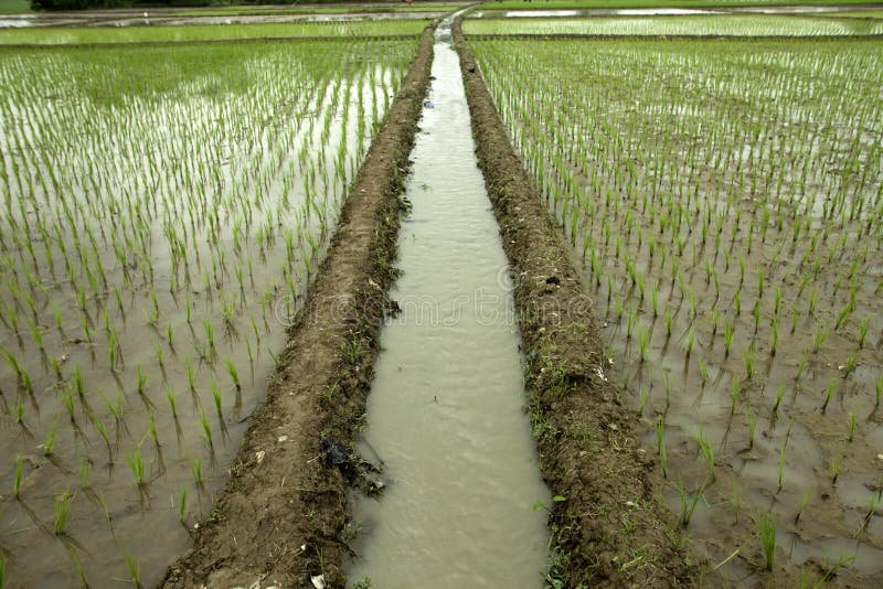 Potash mine stock image. Image of resource, grassland - 6261209