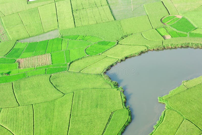 Rice Field in Bac Son, Vietnam Stock Image - Image of river ...