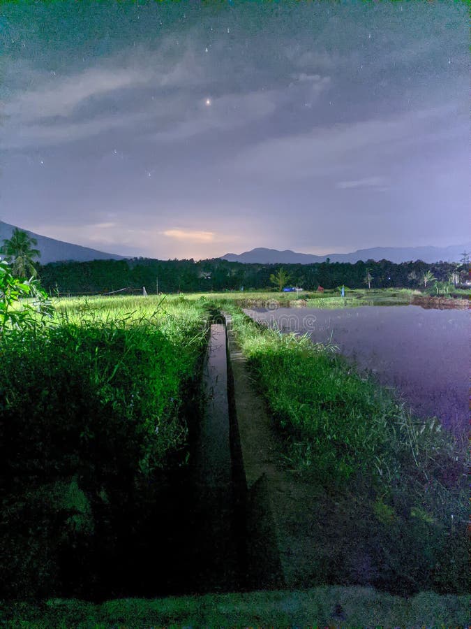 Rice field drainsat night stock image. Image of landscape - 274750987