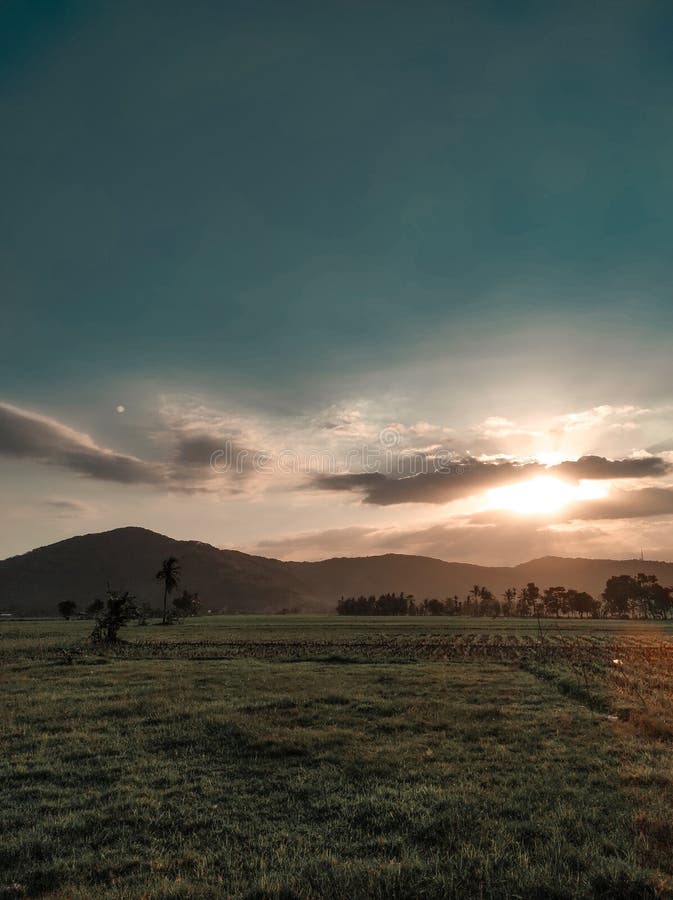 Rice Field at the Foot of the Mountain Stock Image - Image of night ...