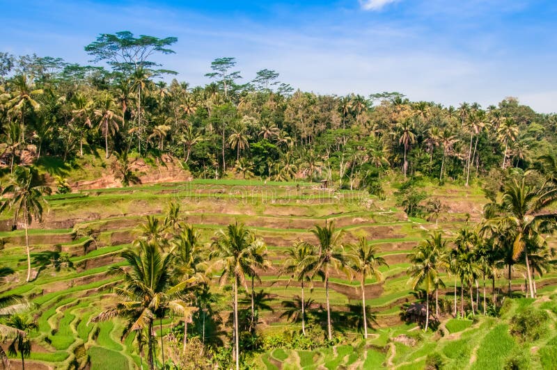 Baseness Stock Photos - Free & Royalty-Free Stock Photos from Dreamstime