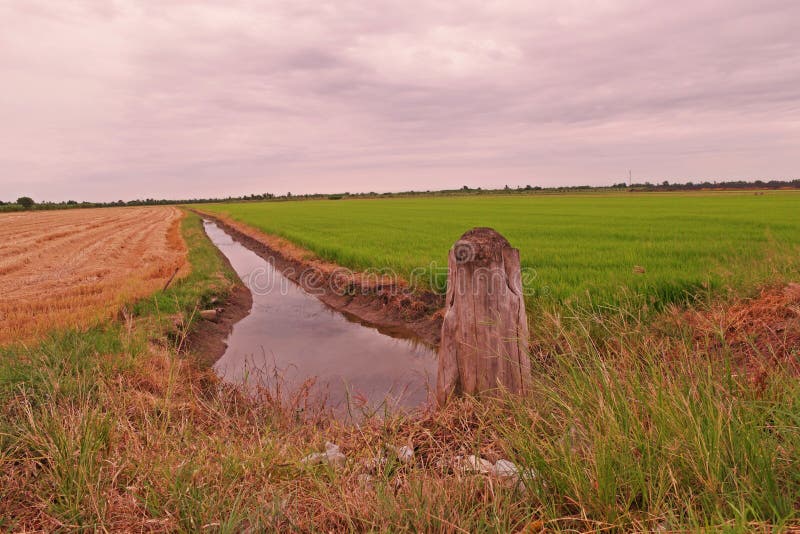 Field Irrigation Ditch stock photo. Image of grassy, business - 13867746