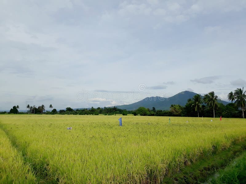 Hectarya Stock Photos - Free & Royalty-Free Stock Photos from Dreamstime