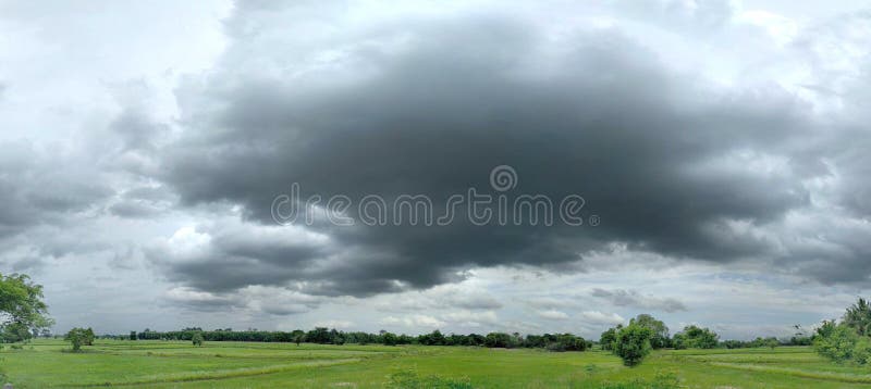 Rice field and cloud stock photo. Image of environment - 129805670