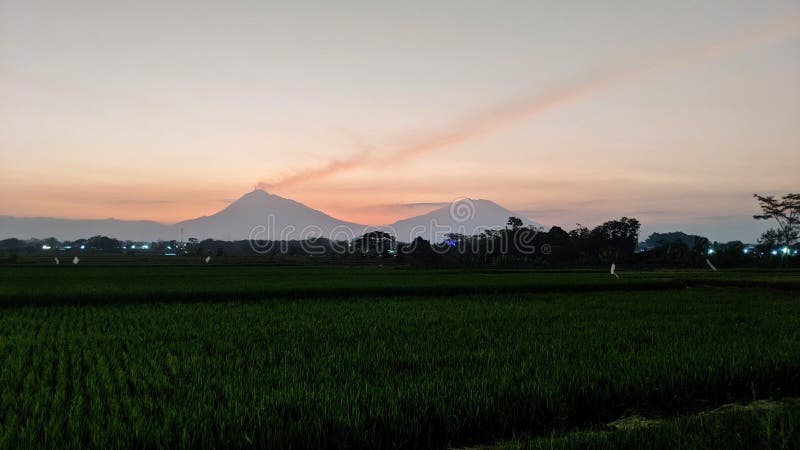 Rice Field and Mountain at Sunset in Central Java, Indonesia. Merapi ...