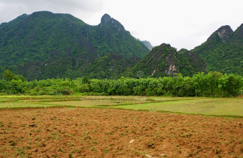 Rice Field and Mountains Background Stock Photo - Image of boatman ...