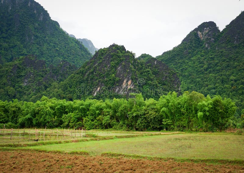 Rice Field and Mountains Background Stock Photo - Image of burma, cave ...