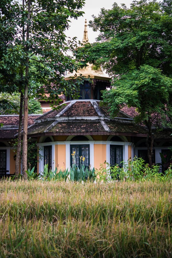 Rice field and pavilion stock image. Image of nature - 106586259